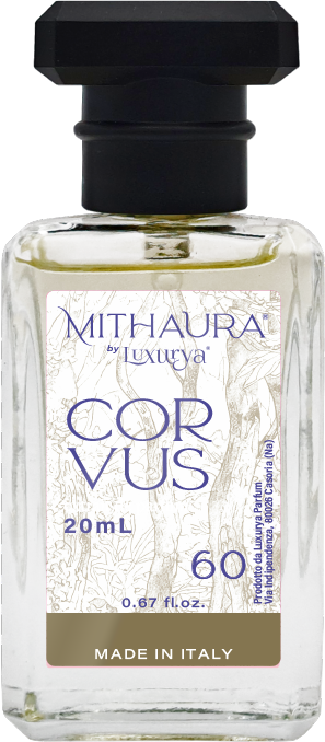 CORVUS N°60 – Mithaura